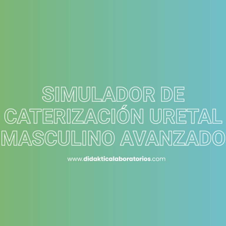 Simulador de caterización uretal masculino avanzado – Didaktica ...
